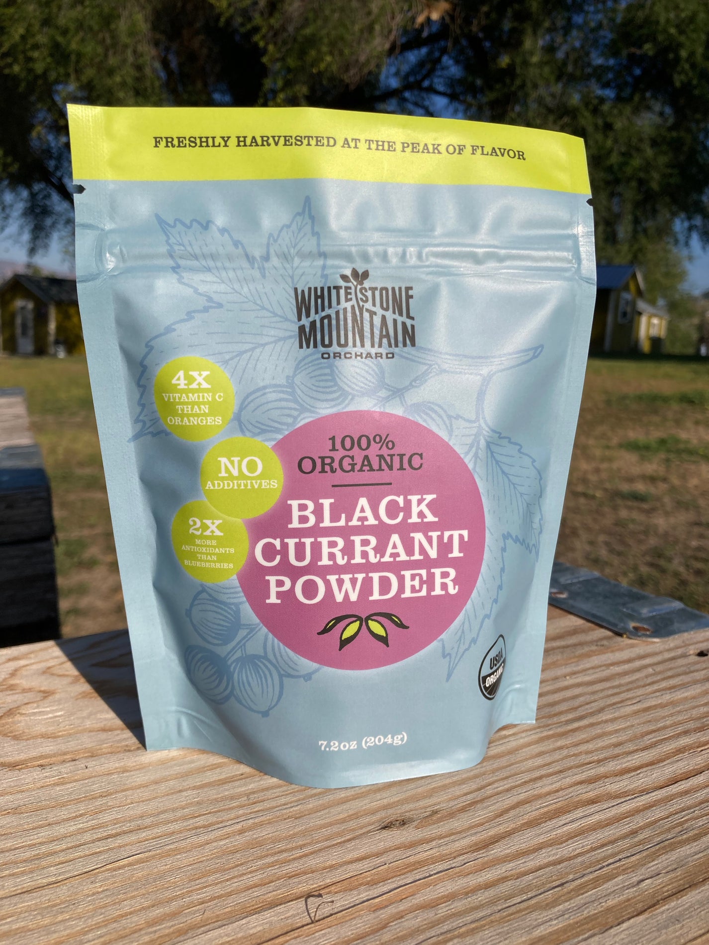 Black Currant Powder – Whitestone Mountain Orchard